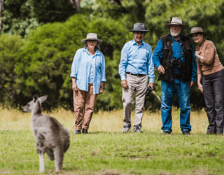 Tours in Canberra - #1 Top Rated Canberra Guided Tours 2023